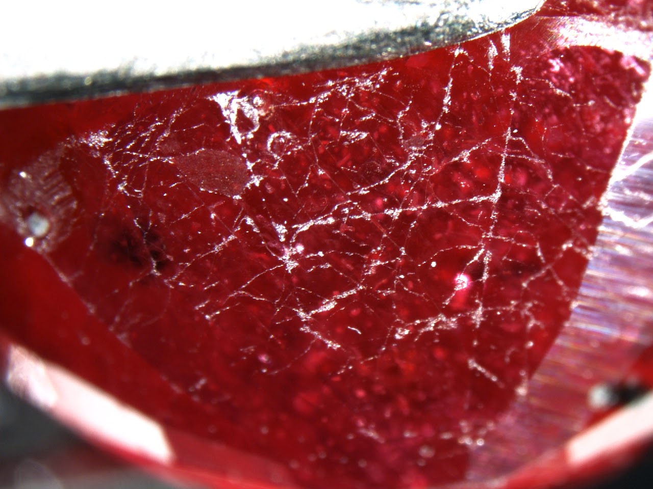 Kino Gem and Mineral Show 2015 - Pavilion Tent