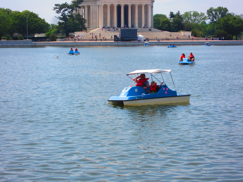 Not-So-SAHM: Get Away to Where the Boat Leaves From: Tidal Basin Paddle ...