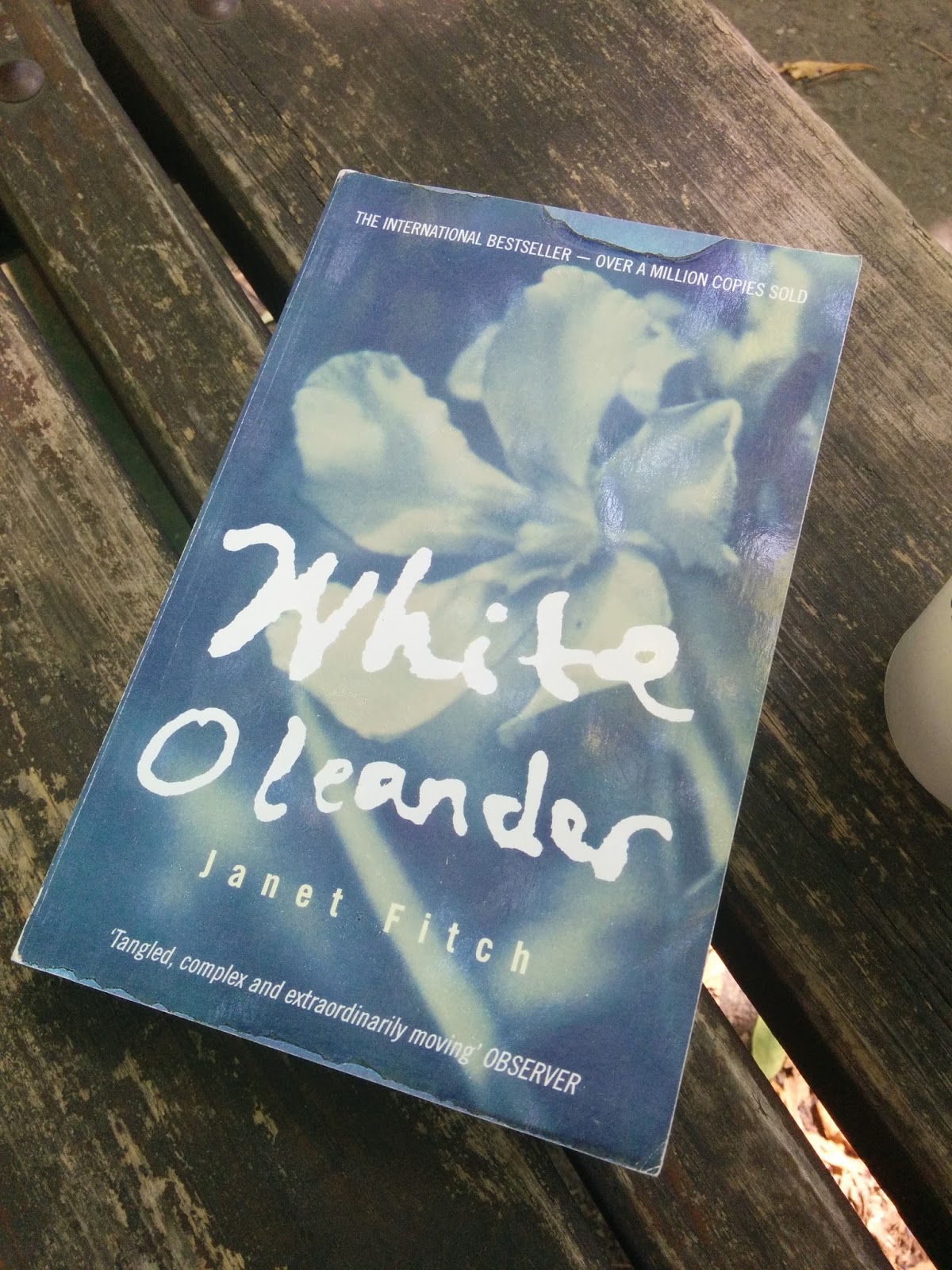 MissPrism: White Oleander by Janet Fitch and the female Bildungsroman