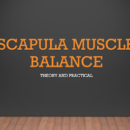 Hawkes Physiotherapy Blog