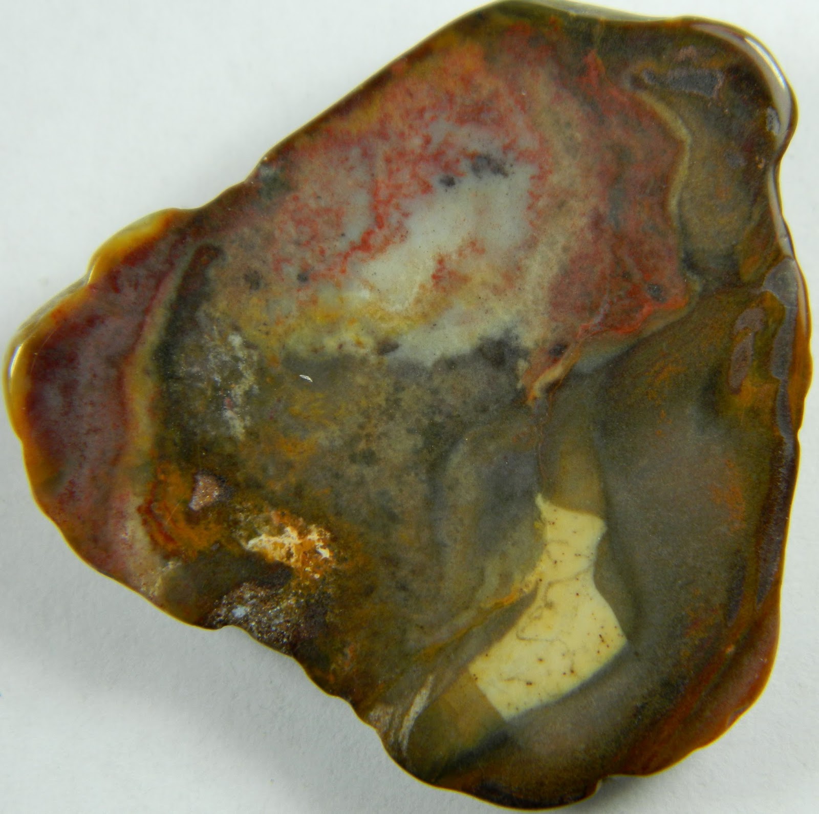 CSMS GEOLOGY POST: MISSOURI MOZARKITE, COAL & GEODES