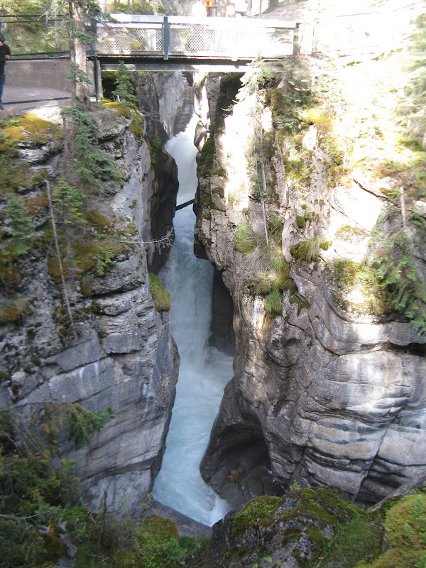 Tarra's Travels: Jasper National Park, Alberta, Canada