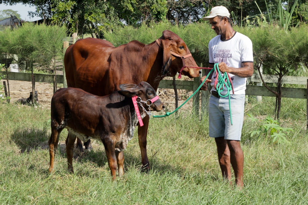 Blog do Cláudio Andrade: São João da Barra intensifica programa de ...