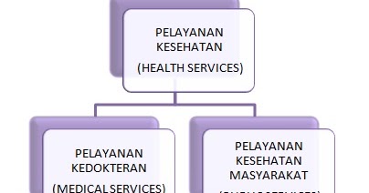 PUBLIC HEALTH: Teori Hendrick L.Blum Pelayanan Kesehatan