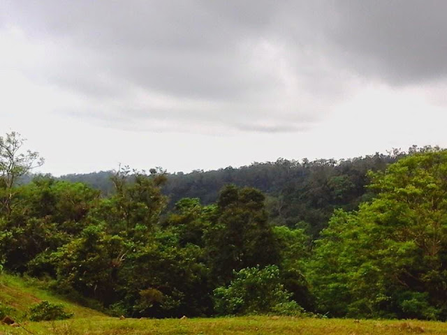 All About Jamesepp Trekking To Limutan Ambon Ambon Falls At Bagac Bataan