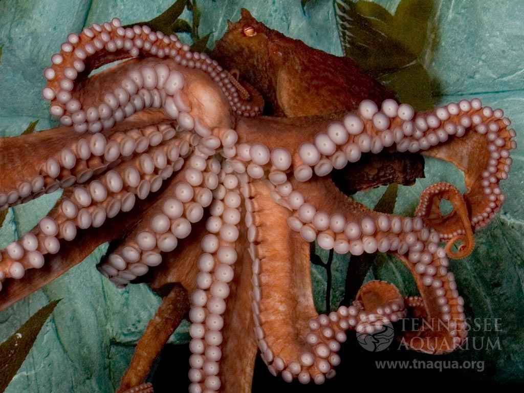 Tales From the Third Degree: Sometimes We Could All Use an Extra Hand