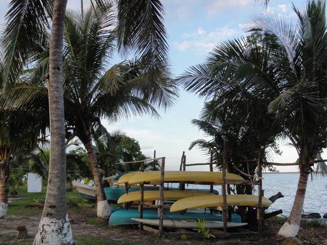 Belize Walkabout: Visit to Gales Point Manatee