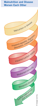 Complete Nutritional Overview: The Connection Between Nutrition and Disease
