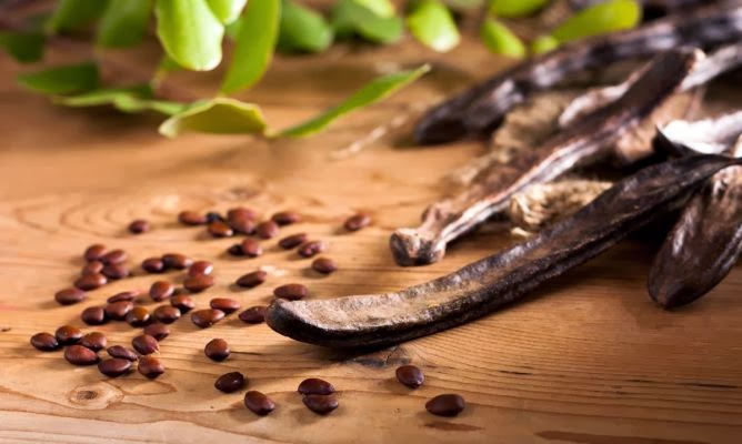 Carob Tree Its Medicinal Properties | Healthy Tactic