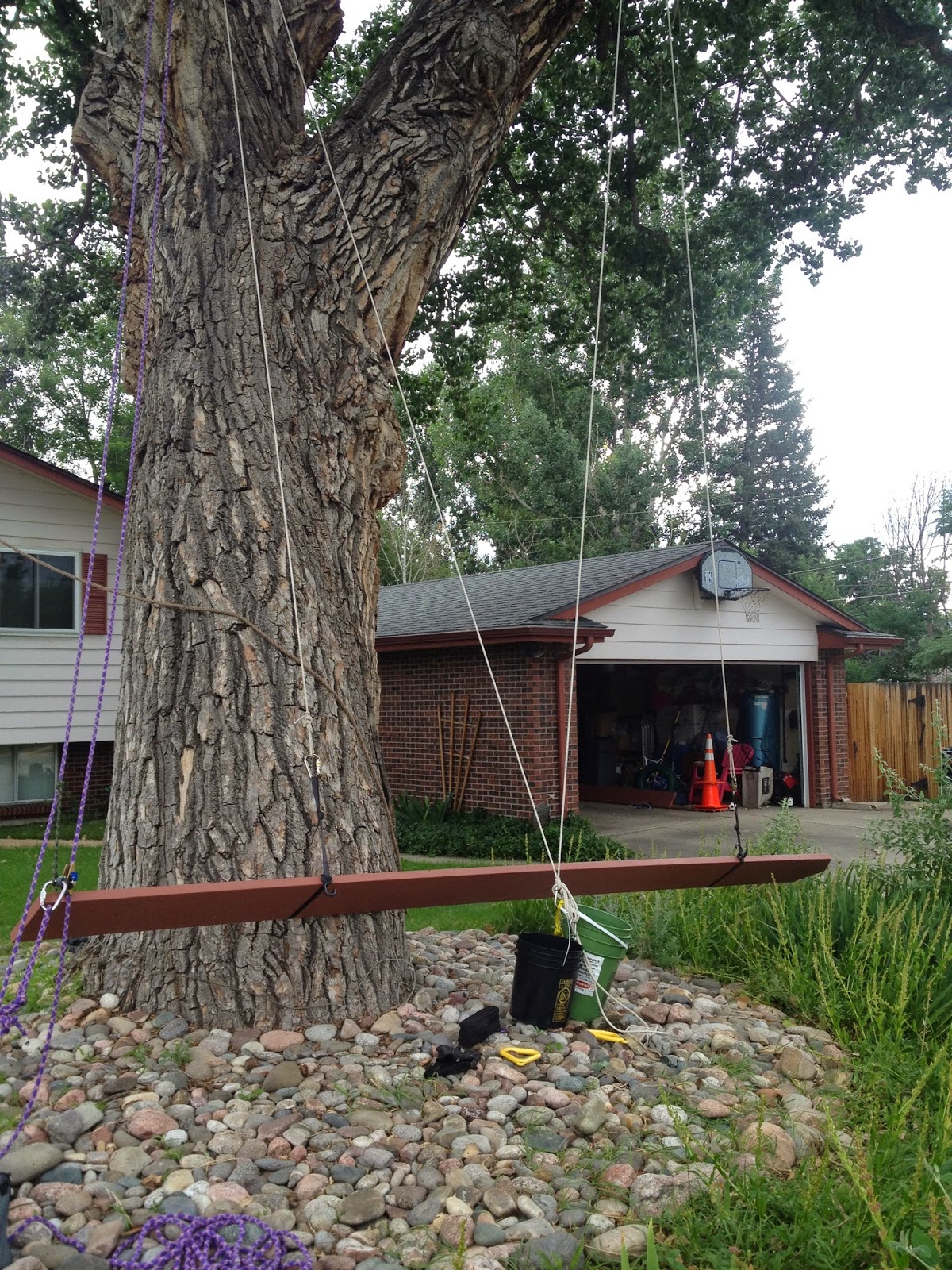 The Treehouser: Part 6: Hoisting the First Treehouse Beam