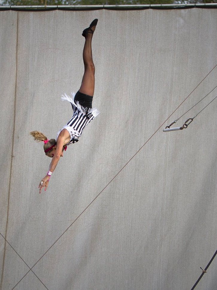 Sensory Overload: Trapeze High Show - Catching and Flying