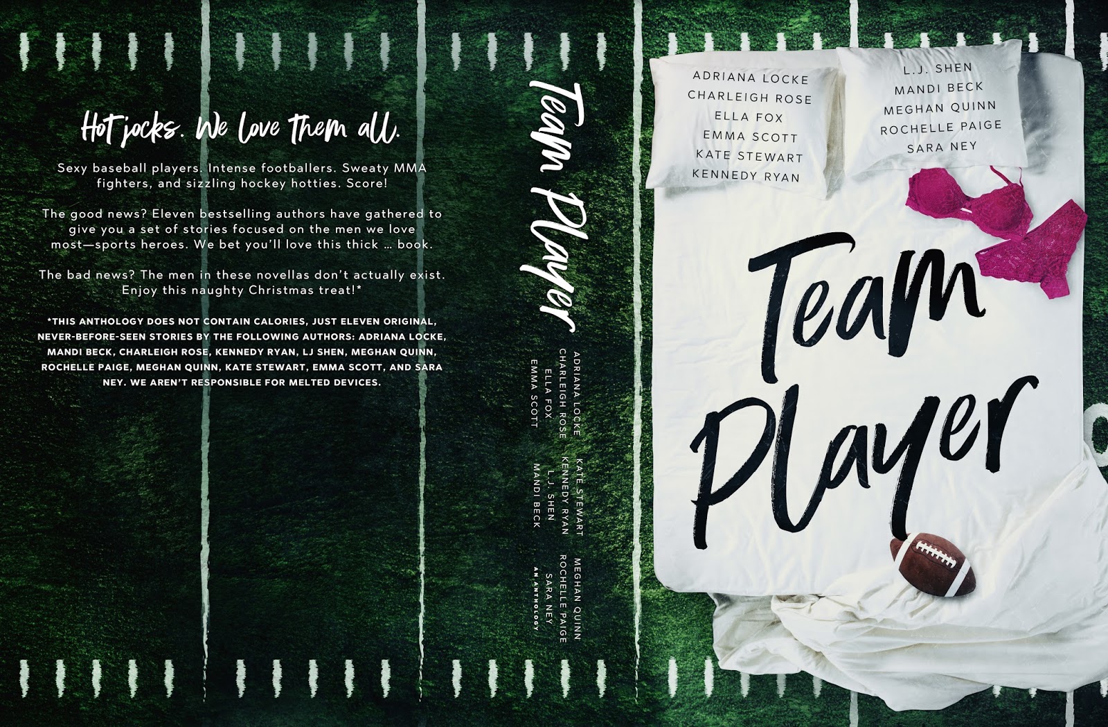 Book Spotlight: Team Player by Various Authors