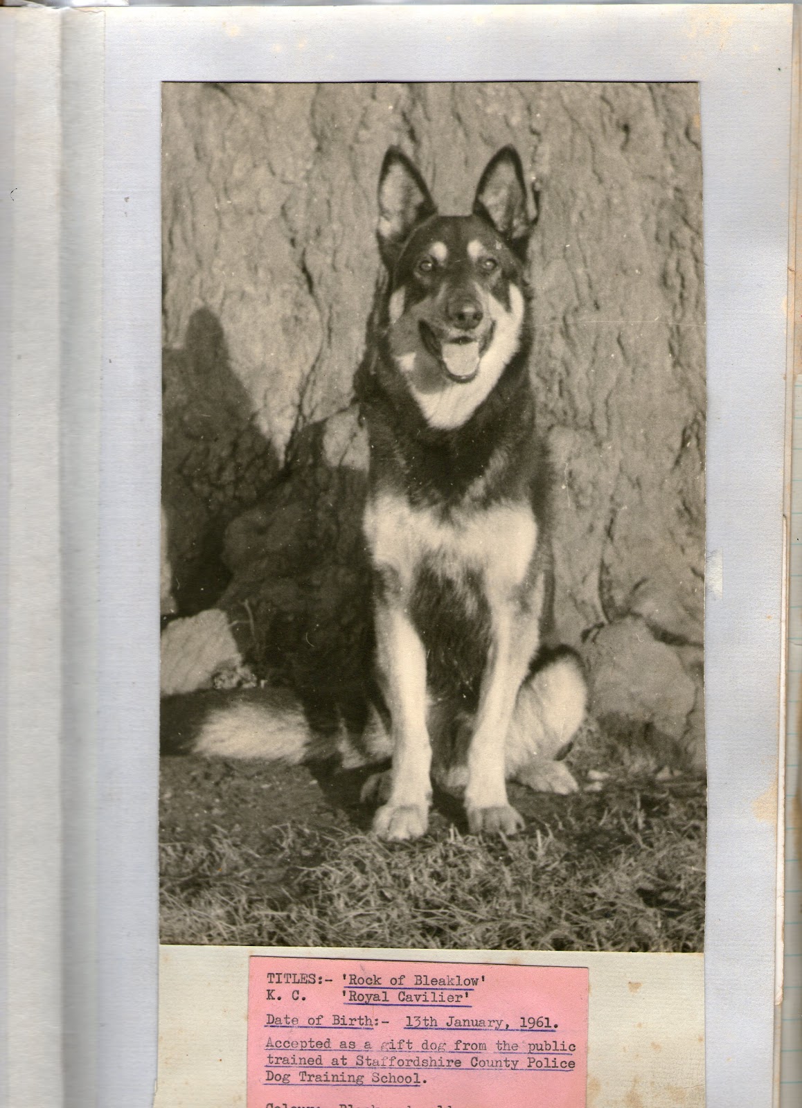 UK Police Dog history: July 2012
