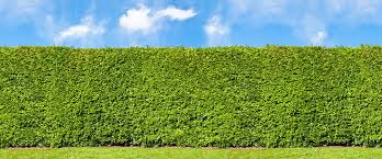 STUFF: What is a hedge of protection?