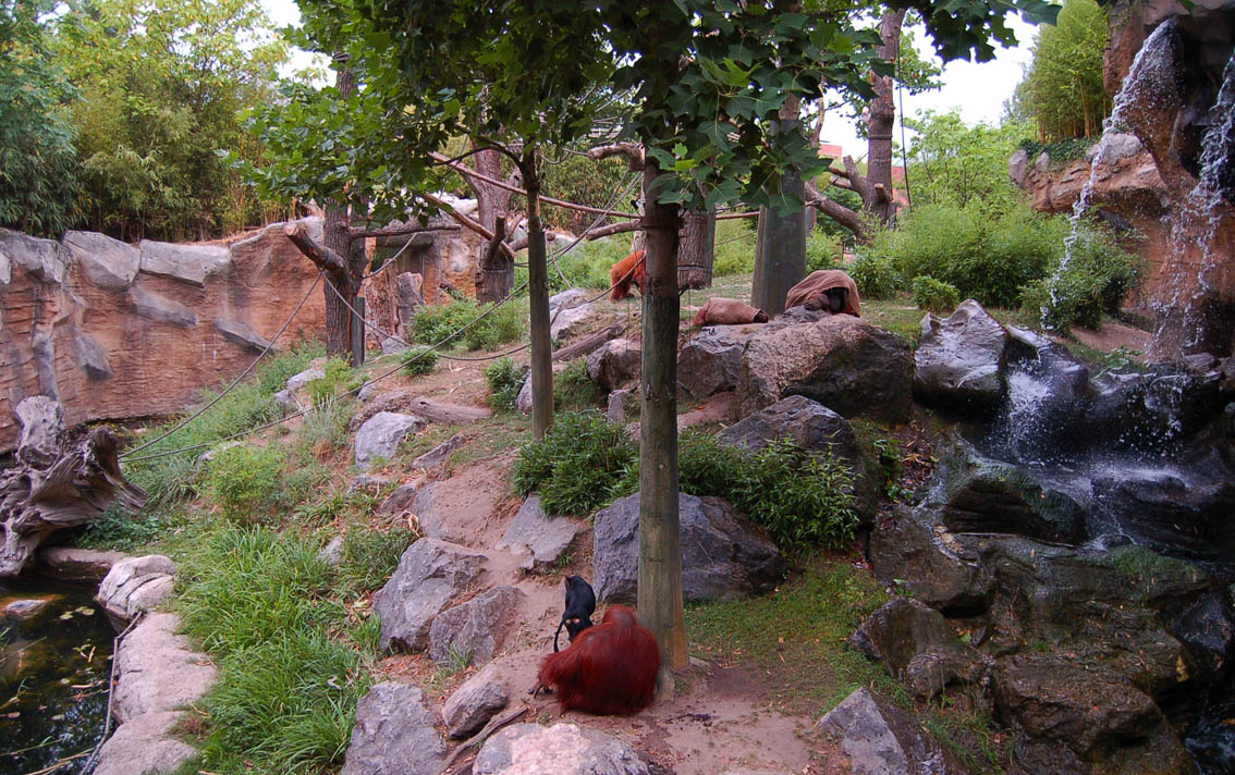 Zoo and Aquarium Design: A Wood Railing