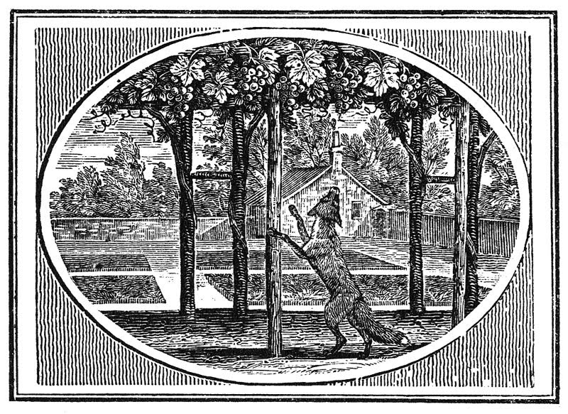 Dreamers Rise: Thomas Bewick