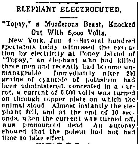 Bill Milhomme: Topsy: Thomas Edison electrocuted an innocent elephant 1903