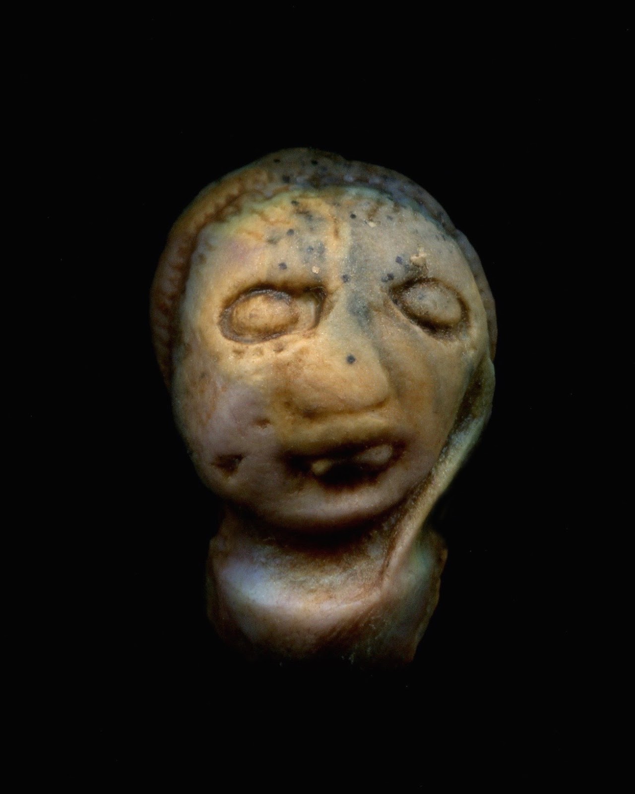 Hidden Missives: ogress