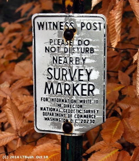 Writog: Lost, Seeking A Sign