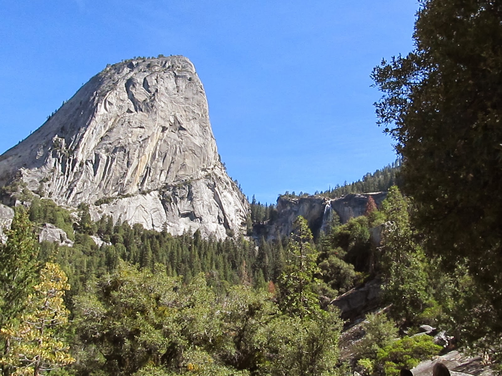 Ramblings of a Beer Runner: Beer of the Month: 395 IPA from Mammoth Brewing