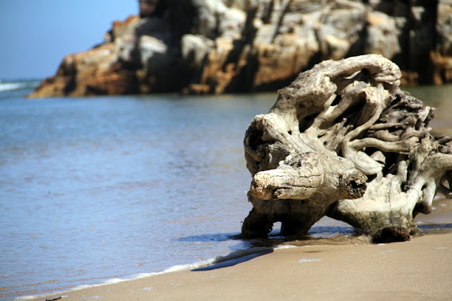 Under our own olive tree: Oubos