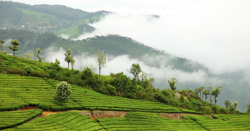 Travel India Tourism and India Tour Packages: Best Time to Visit Coonoor