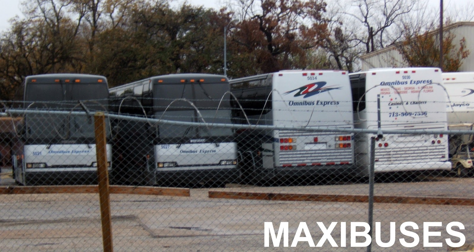 MAXIBUSES: OMNIBUS EXPRESS