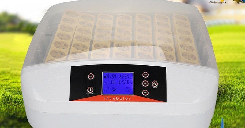 Cheap Chinese Incubator fixing faulty Temperature showing
