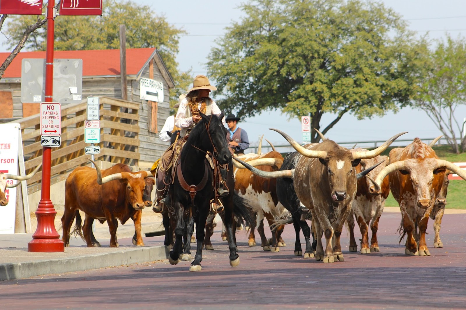 Living in Texas: Fort Worth Stockyards - MADE EVERYDAY