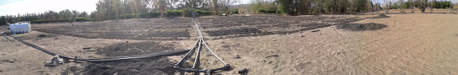 Arid Land Agriculture: Definition and Characteristic of Arid Land ...