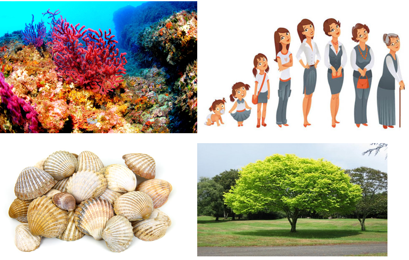 Tecnología e Informática - Grado 8