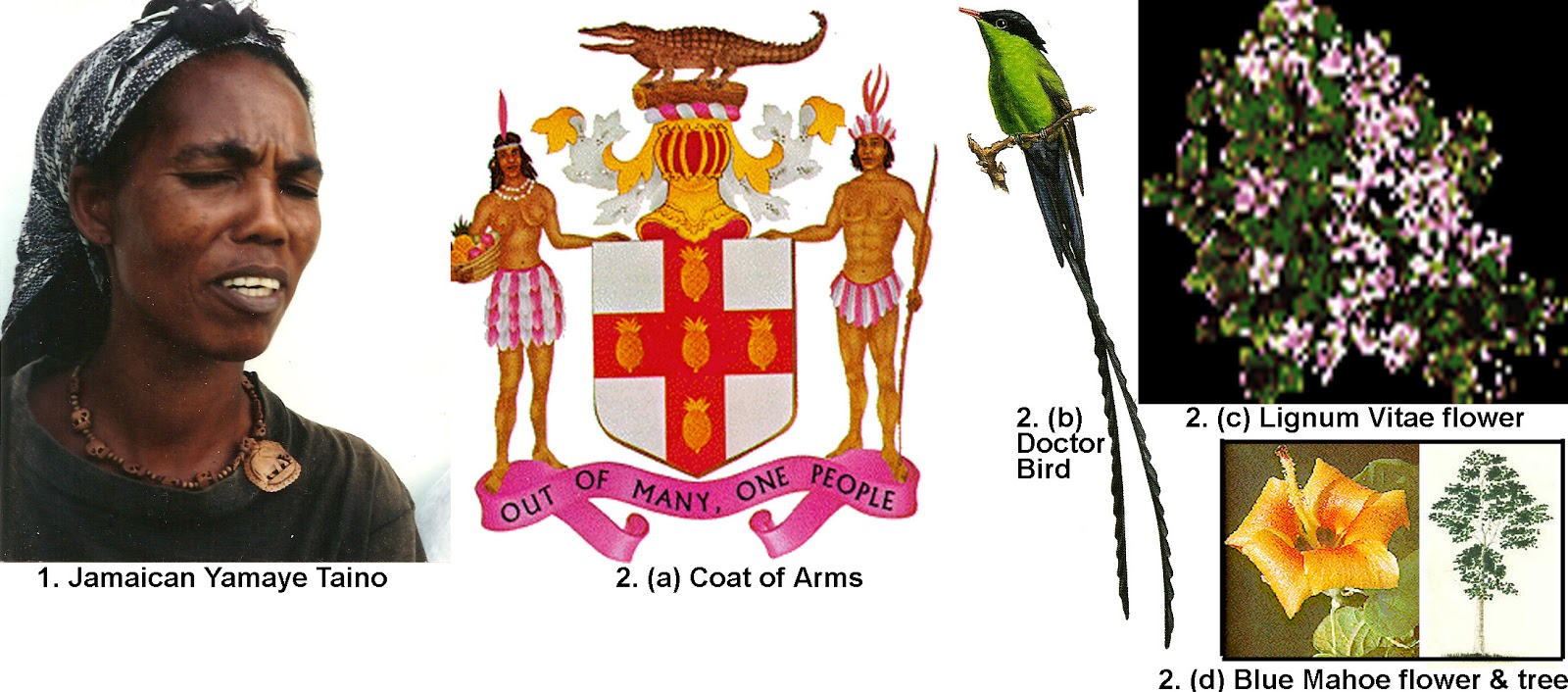 Yamaye: JAMAICA'S TAINO DAY