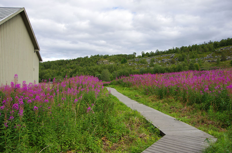 Finland : Alta, Norway