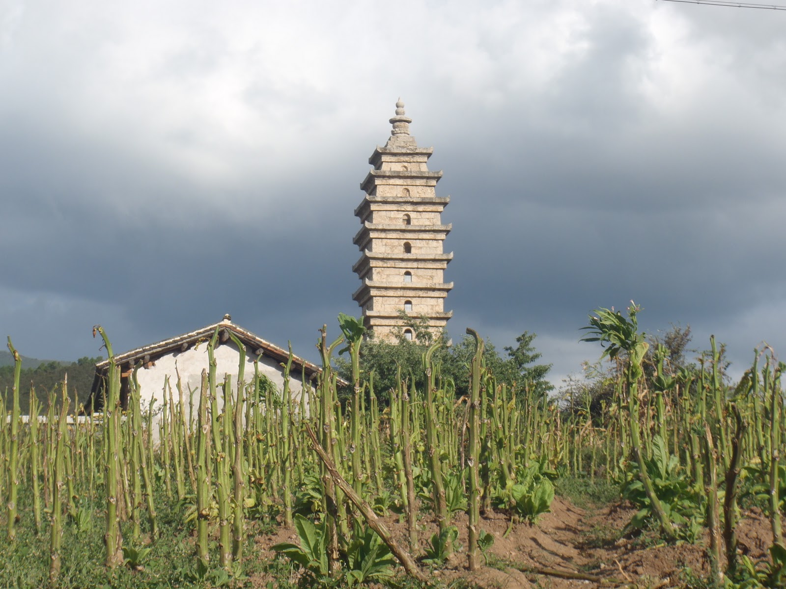 Caroline's China Trip.......