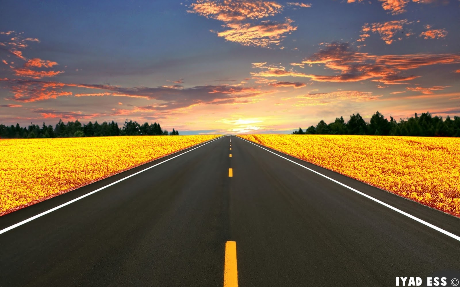 A Beautiful Wallpaper On The Road