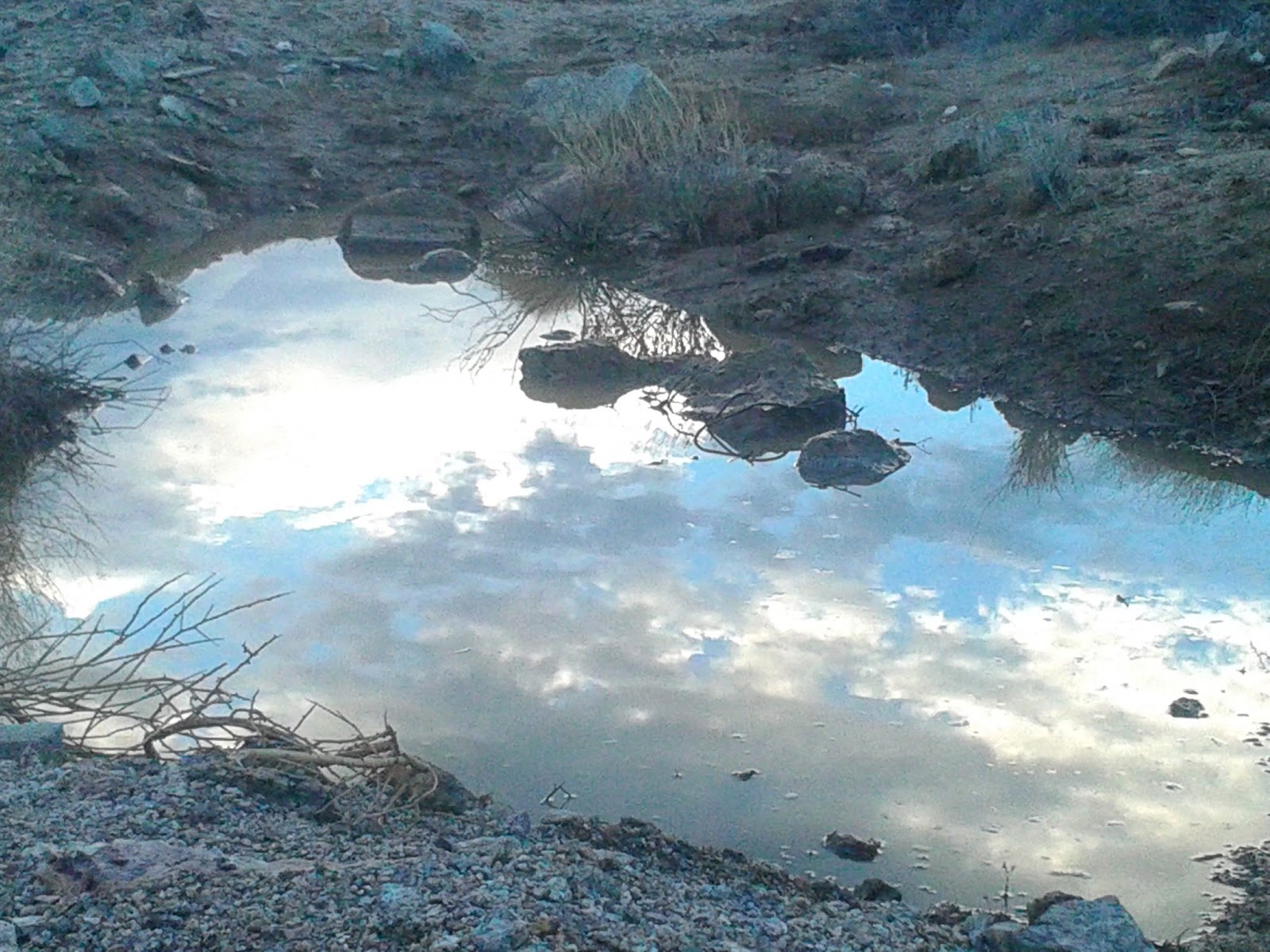 Buffalo Ridge Disc Golf Course
