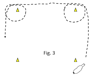 Functional Horsemanship: Arena Patterns - The Basic Square