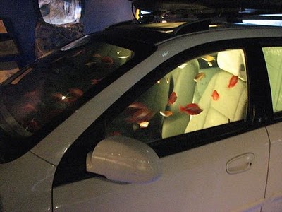 Amazing Magazine: Car turned into a fish tank aquarium