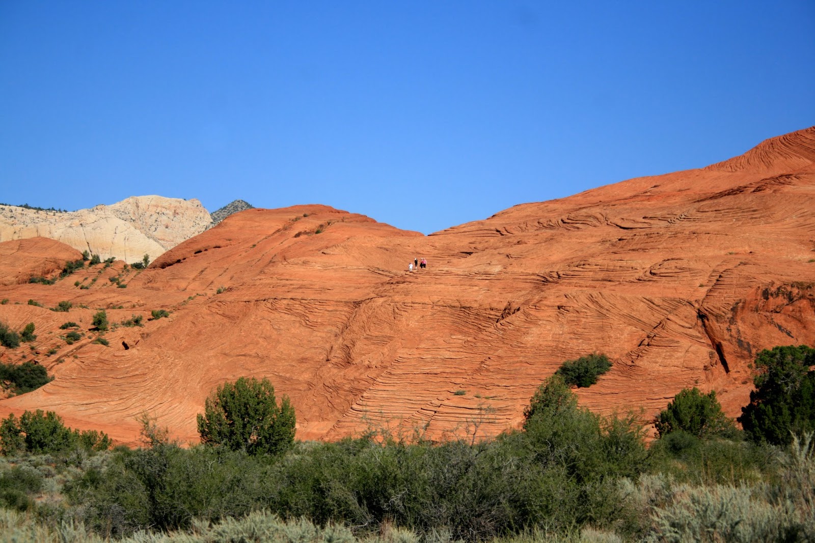 Stillhowlyntravels: Snow Canyon State Park