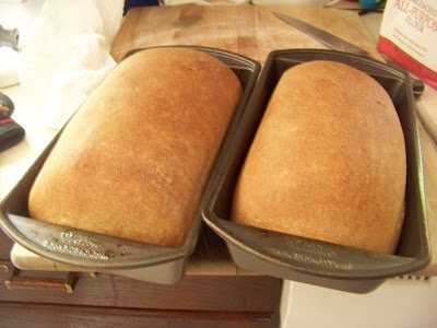 Tora's real food: Baking our daily bread, step by step