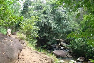 Welcome to Trivandrum District: Bonakkad / Bonacaud