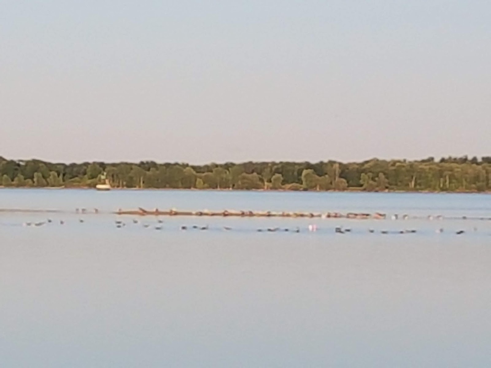 lakepurity: Riverside Cedar Campground Camping and Upper Canada Village ...