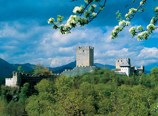 Celjski grad (Slovenija) | Celje, Castle, Heart of europe