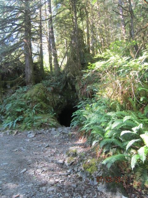 ADVENTURES by The Travel Group: Seymour Demonstration Forest, North ...