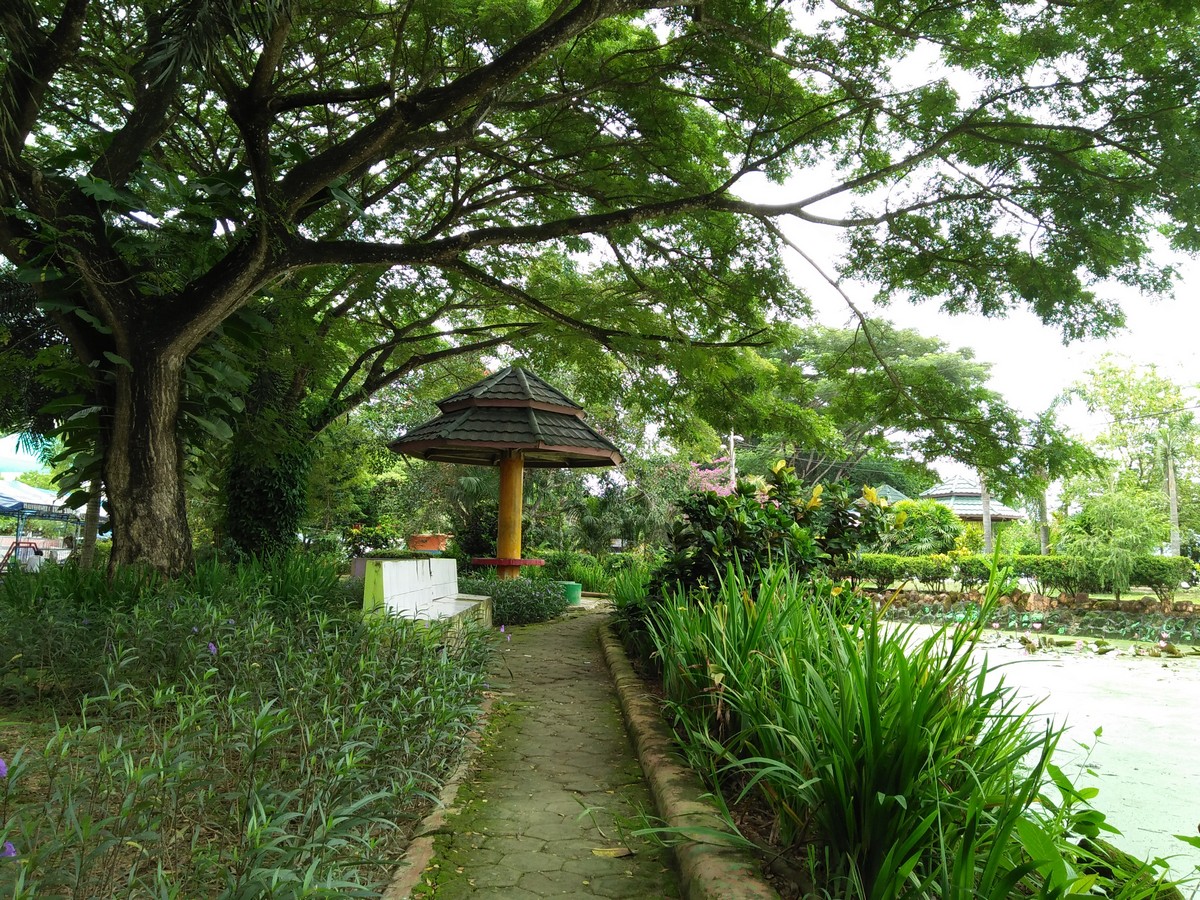 Berkunjung Ke Taman Teratai Kendari Di Kota Kendari Sulawesi Tenggara ...