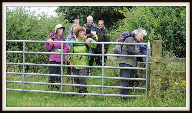 The Glebe Blog: Wigtownshire Ramblers Stoneykirk Circular August 2013