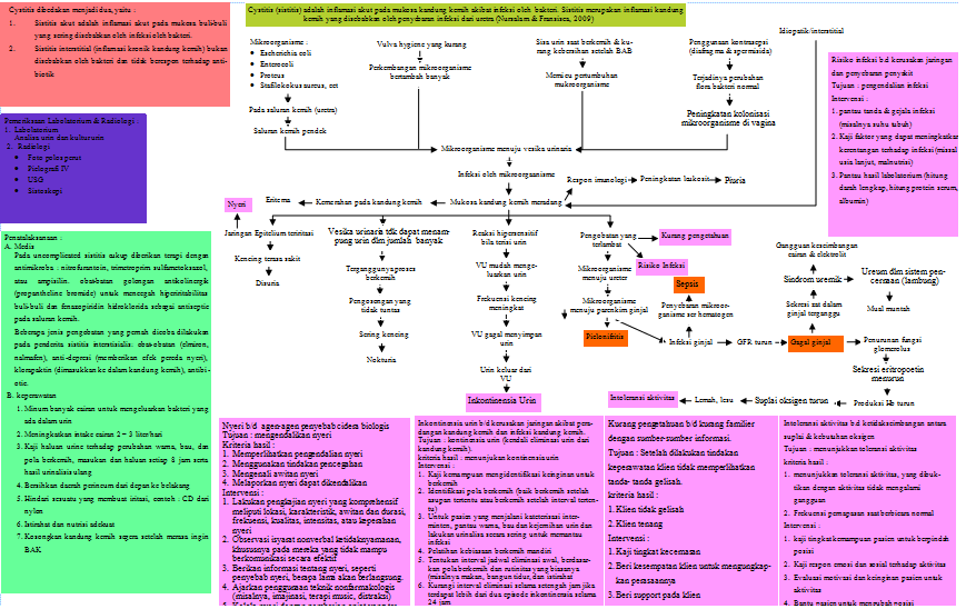 WOC CYSTITIS - Date_Nurse