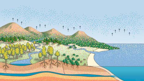 EVAPORACIÓN ~ Procesos Industriales