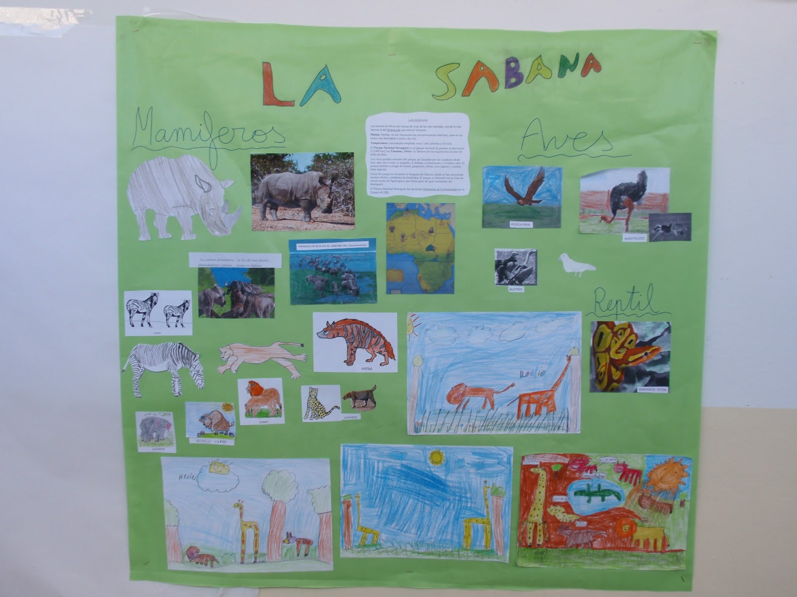 Sala de la Fantasía: LA SABANA