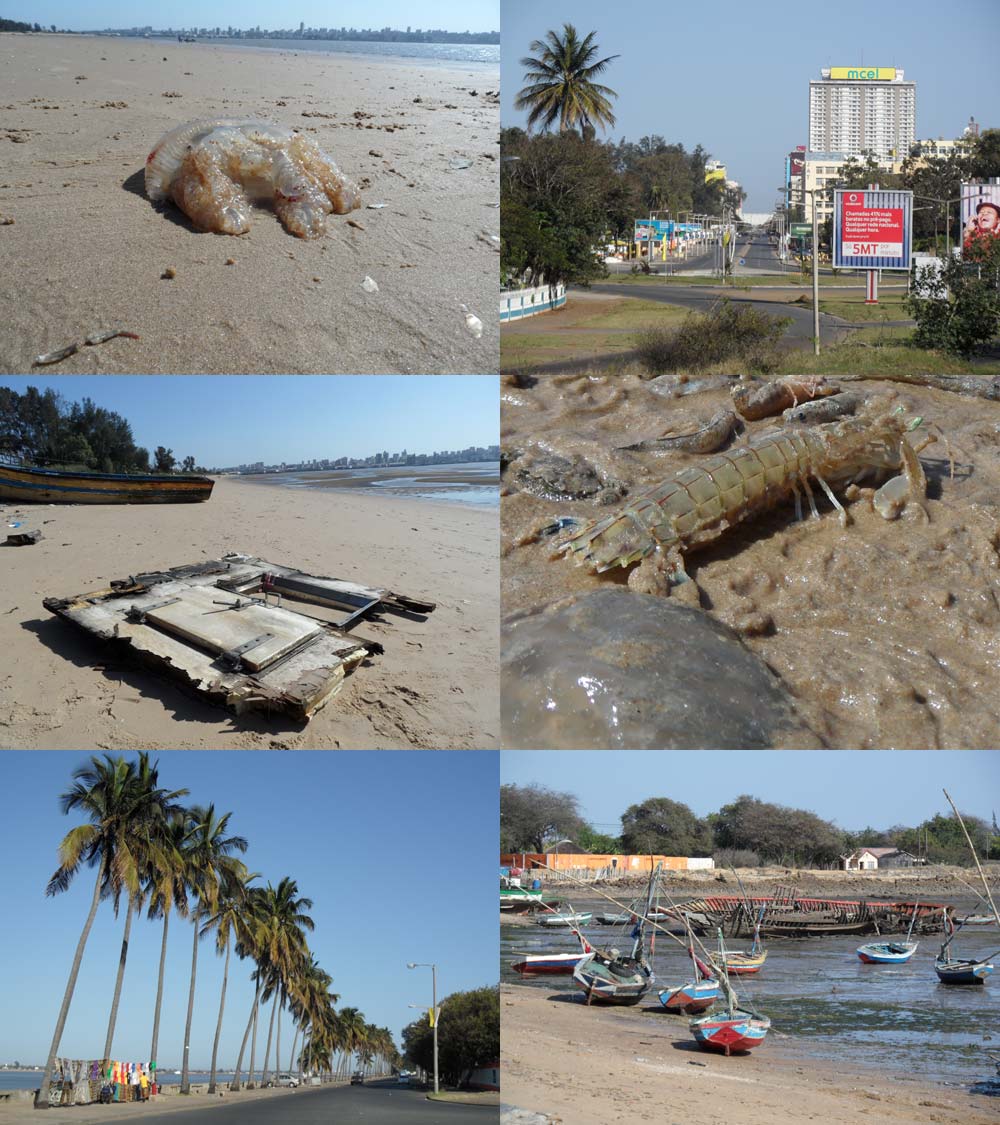 My Journey: A productive day on the beach, Maputo